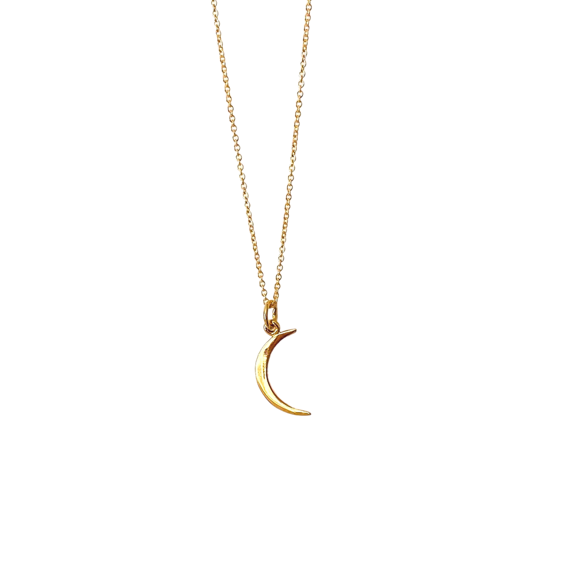 Mini Crescent Moon Necklace | Tangerine Jewelry Shop